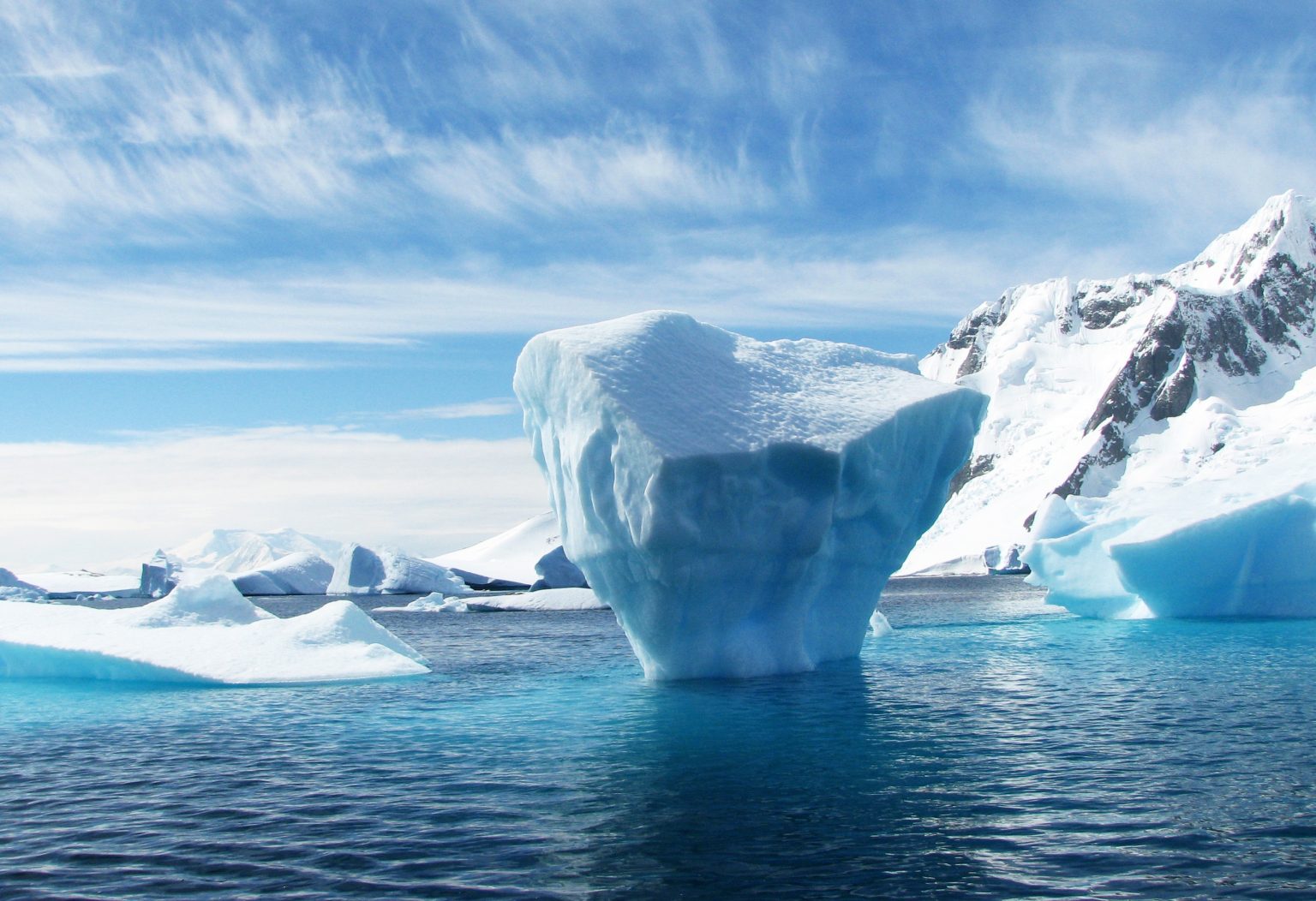 Facts – IceBerg